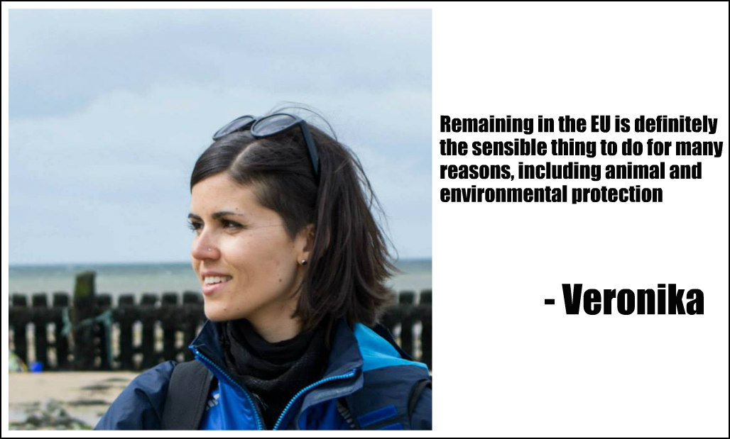 veronika quote – Fat Gay Vegan