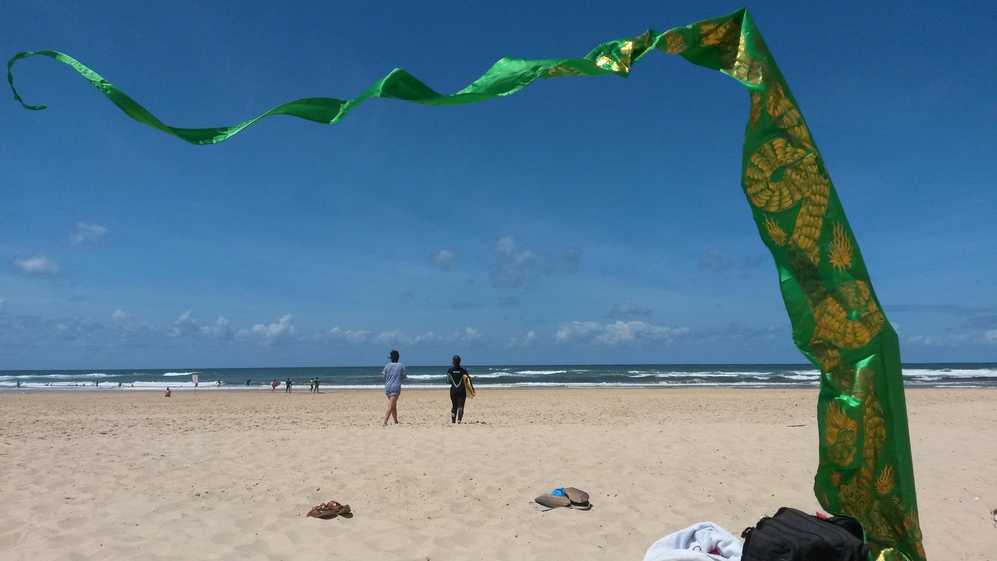 beach and vsc flag – Fat Gay Vegan