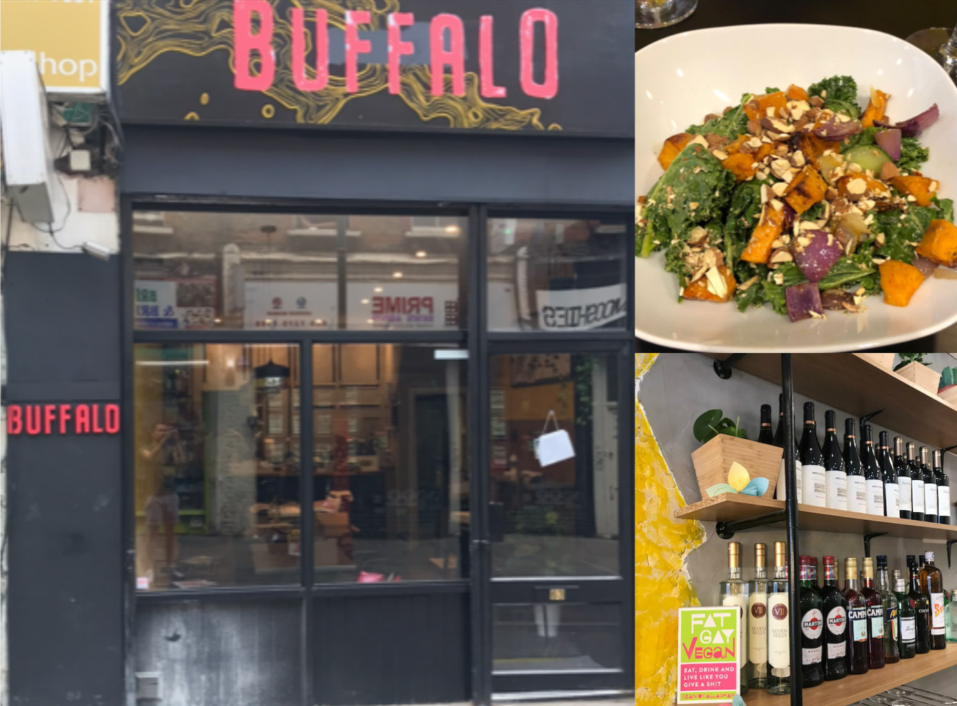 buffalo – Fat Gay Vegan